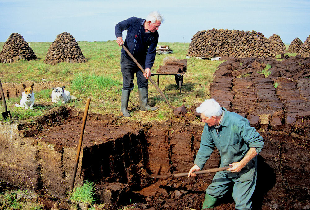 Peat | whiskyrific